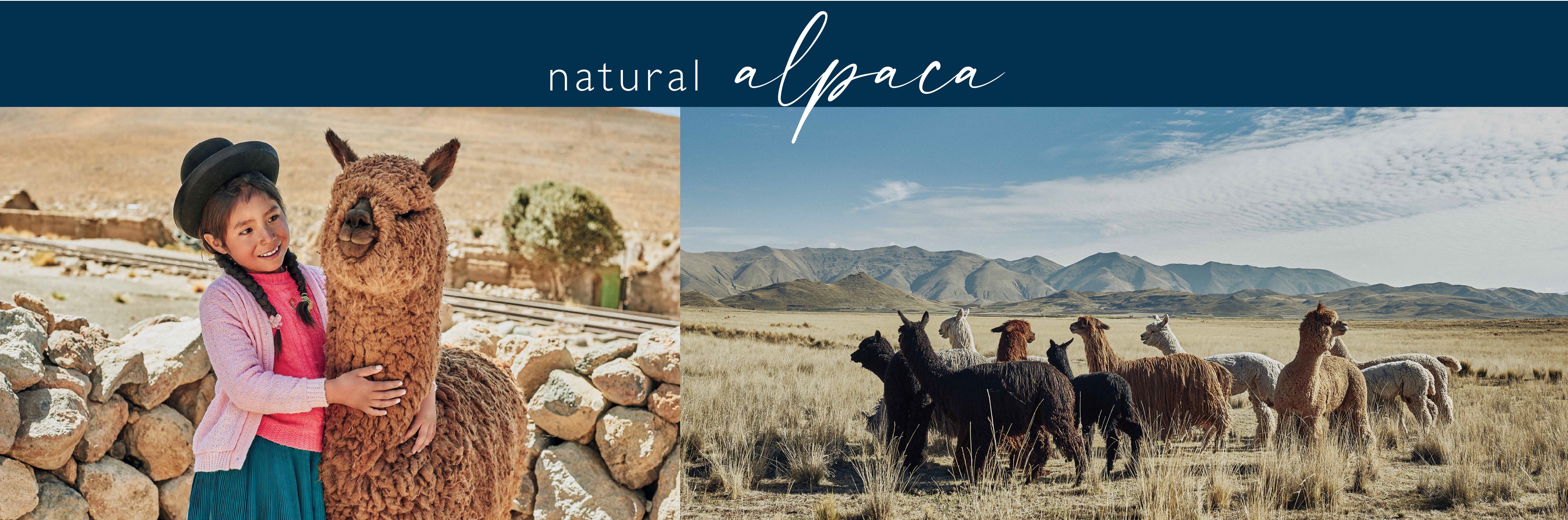 About or products: Alpaca – Peruvian Connection
